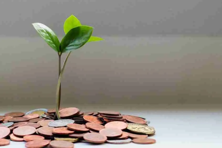 Salarios Sectoriales Ecuador 2026: Tabla Oficial Actualizada ↓